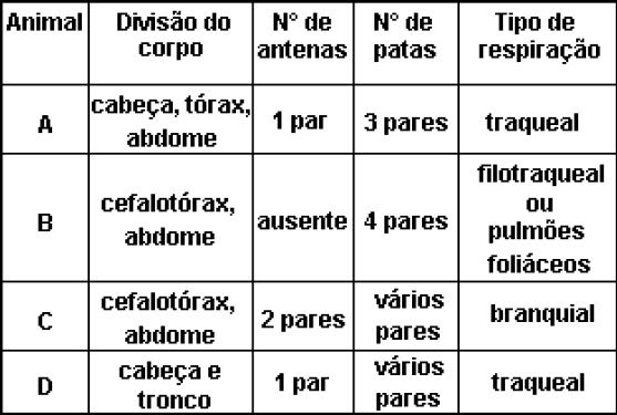 A, B, C e D podem ser, respectivamente: