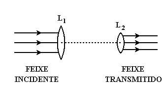 Lentes